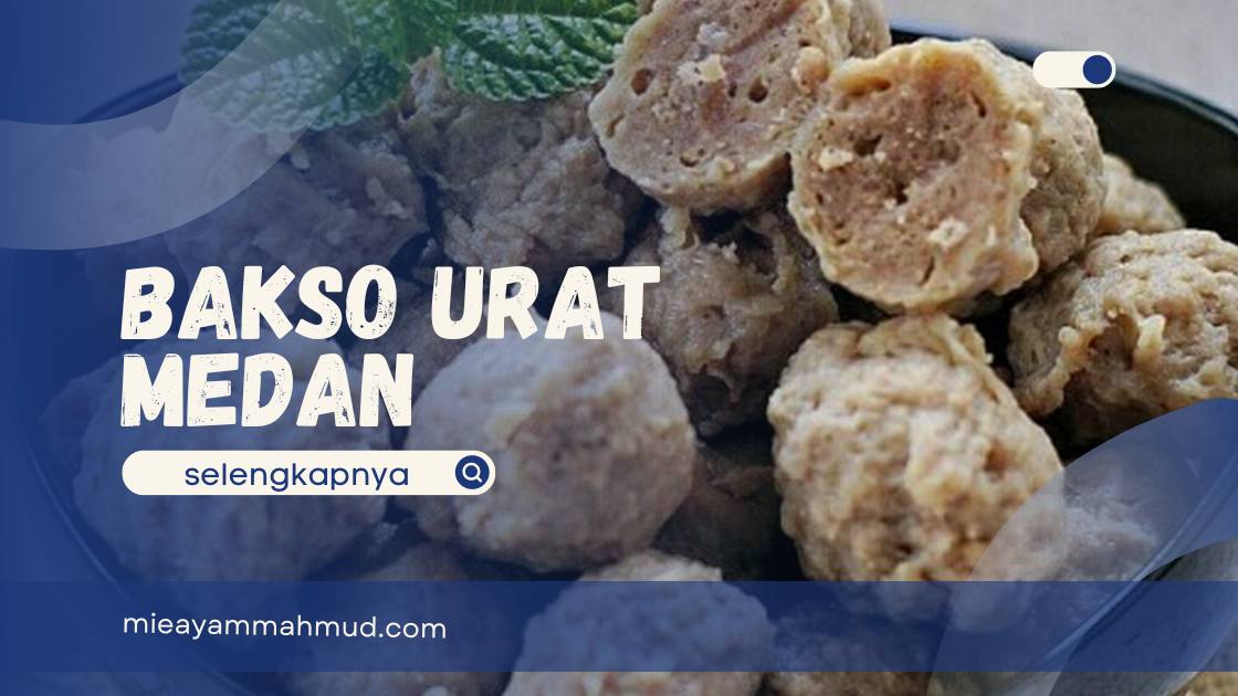 Bakso Urat Medan, Kuliner Khas yang Menggugah Selera - Mie Ayam Jamur ...