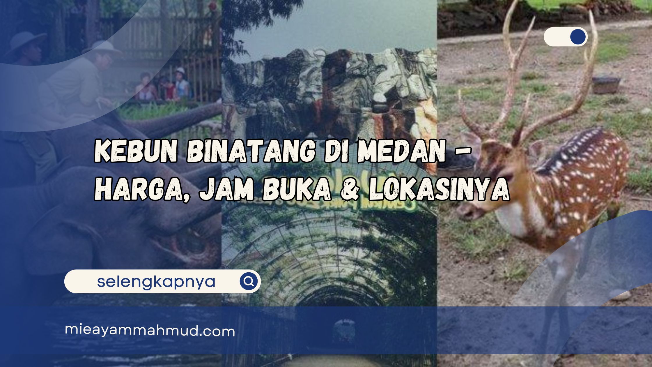 Kebun Binatang di Medan - Harga, Jam Buka & Lokasinya