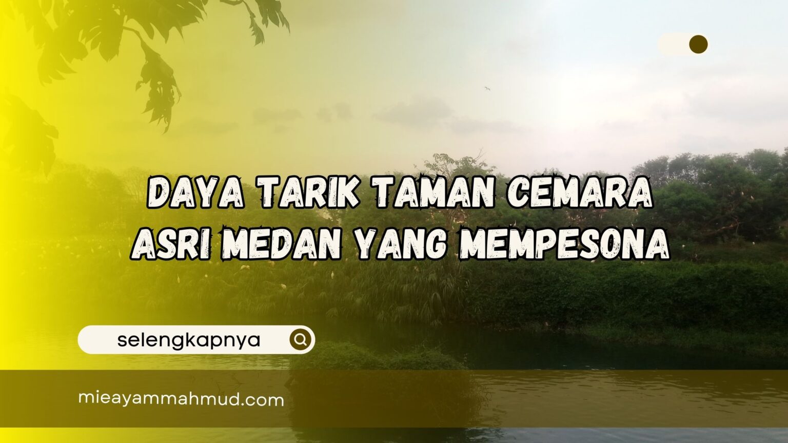 Daya Tarik Taman Cemara Asri Medan Yang Mempesona
